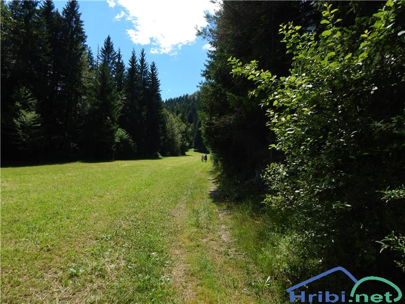 Rakitna (Rakiško jezero) - Rakitna (Gozdna in arheološka učna pot ...