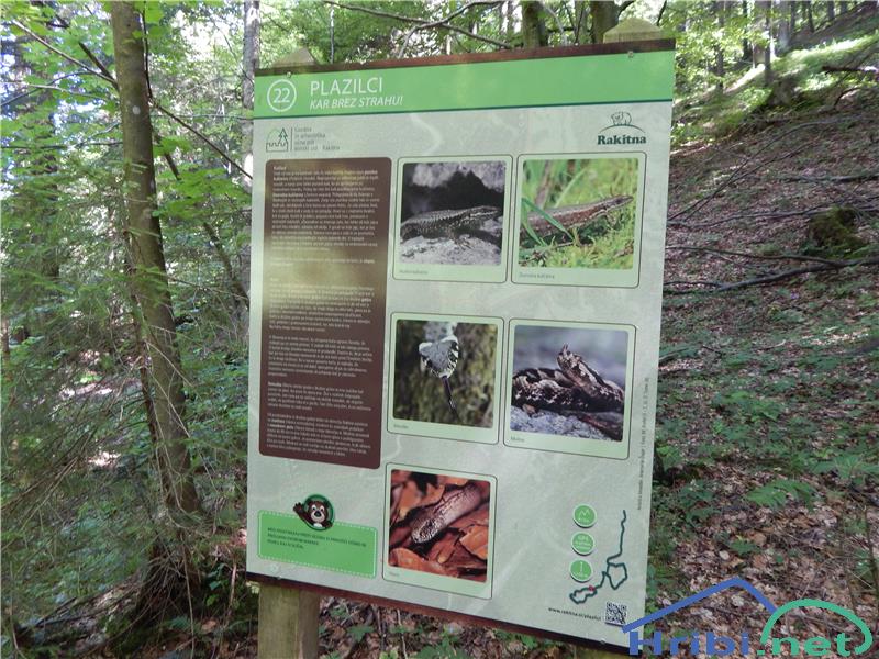 Rakitna (Rakiško jezero) - Rakitna (Gozdna in arheološka učna pot ...