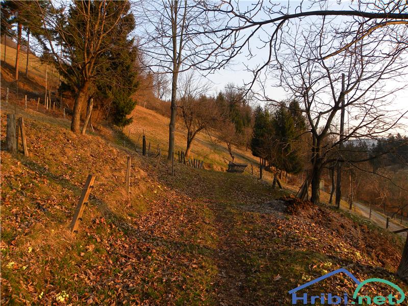 Braslovško jezero - Bezovec (Dobrovlje) (mimo lovske koče) - Slika - 186903