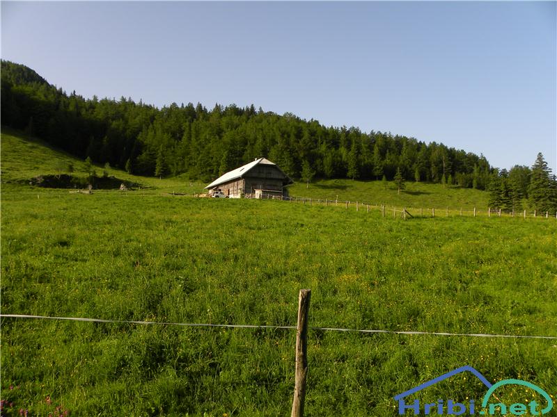 Planina Dol - Planina Konjščica (Velika planina) - Slika - 93439