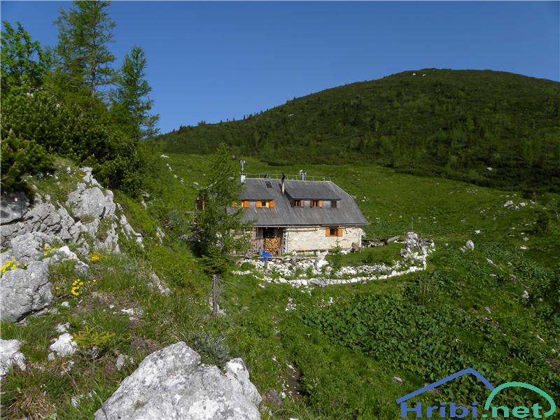 Planina Dol - Konj - Slika - 92310