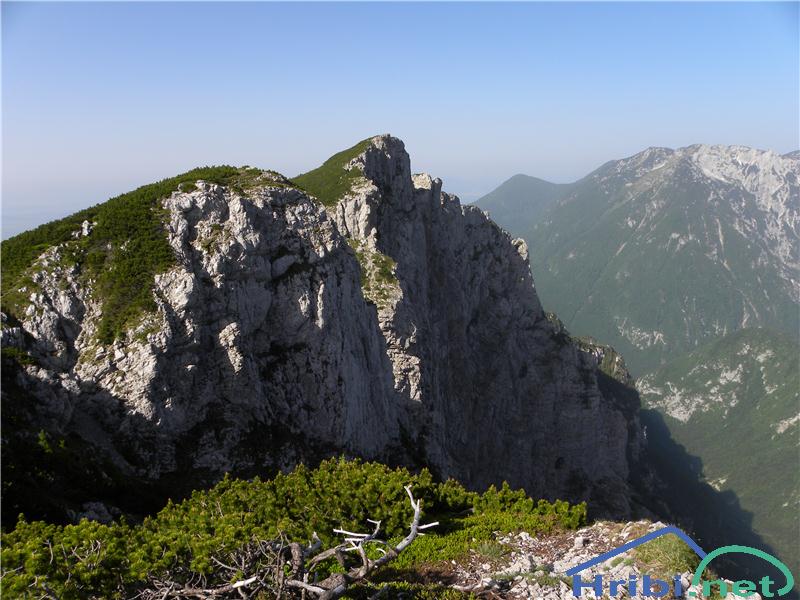 Kraljev hrib - Konj - Slika - 92362