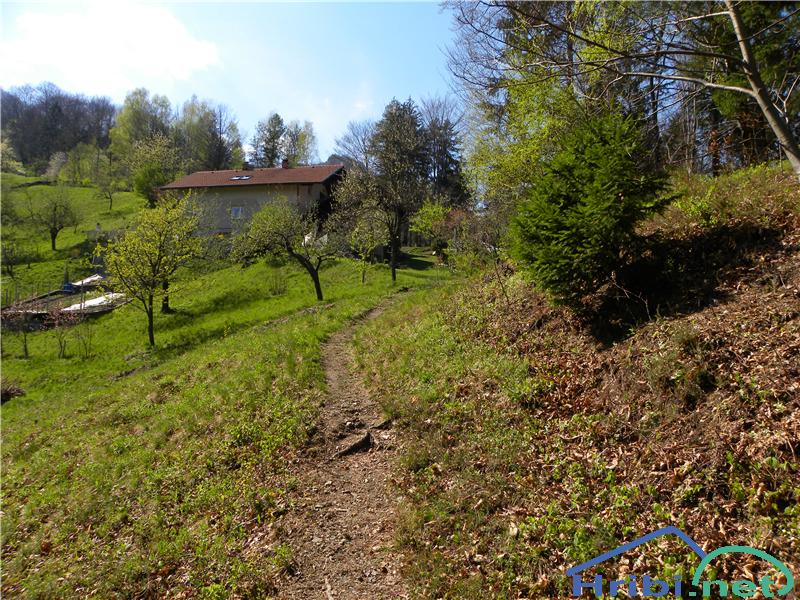 Rimske Toplice - Kopitnik (po dolini Ogeškega potoka) - Slika - 190904