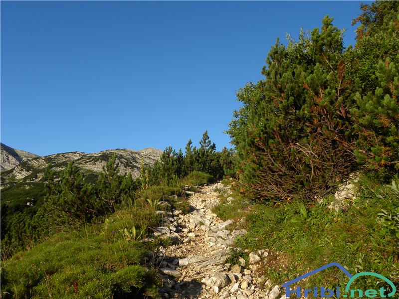 Koča pri Savici - Batognica (čez Prehodce) - Slika - 201963