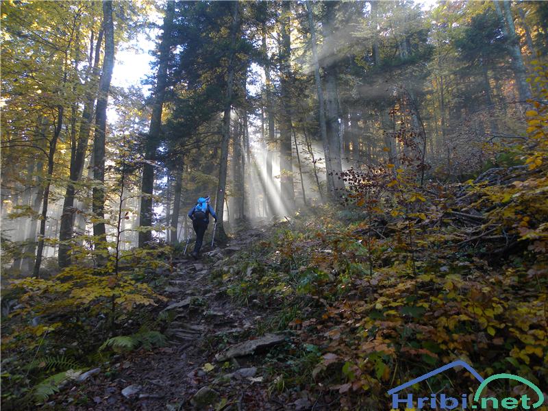 Vrčice - Mirna gora (čez Škrilj) - Slika - 173109