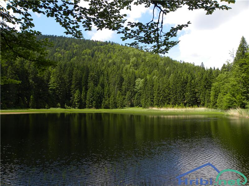 Koča na Pesku - Jezerc - Slika - 198135