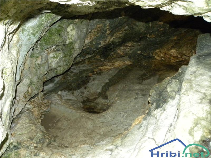 Plužna - Jama Srnica - Slika - 50905