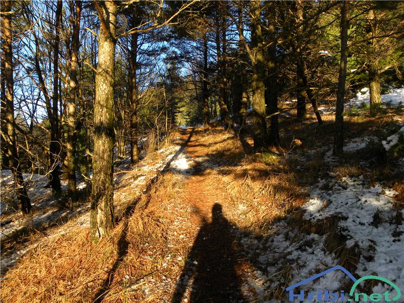 Grahovo - Slivnica - Slika - 65152