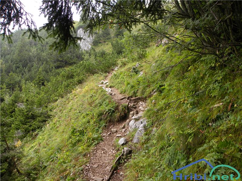 Valvasorjev dom pod Stolom - Stol (Žirovniška pot) - Slika - 55969