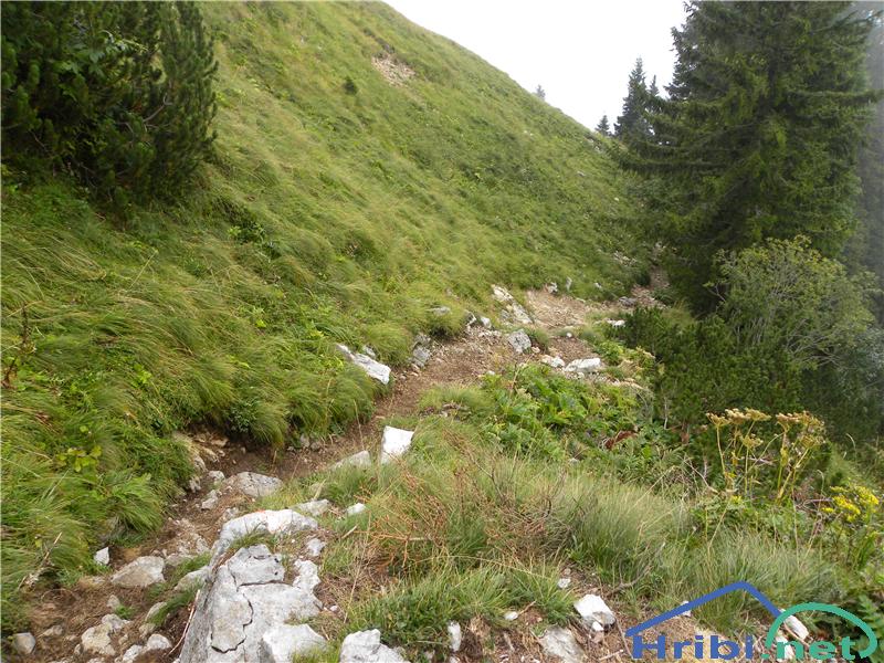Valvasorjev dom pod Stolom - Stol (Žirovniška pot) - Slika - 55967