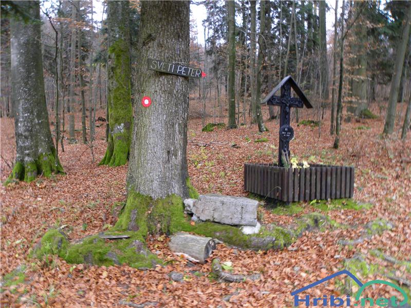 Lašče - Sveti Peter - Slika - 134582
