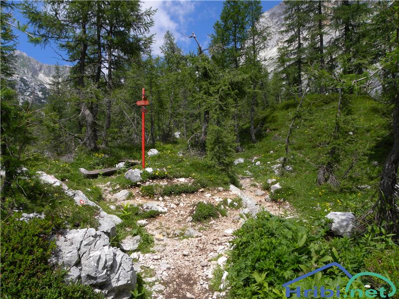 Koča pri Savici - Triglav (čez Triglavska jezera) - Slika - 106813