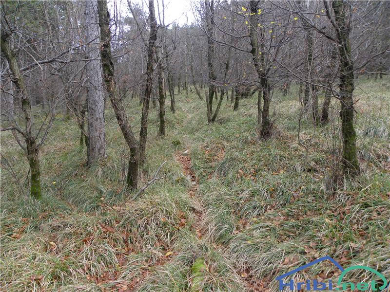Lokvica - Stol (Črni hribi) - Slika - 65019