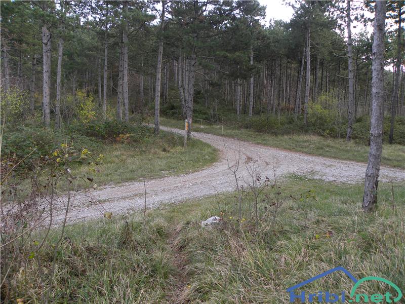 Lokvica - Stol (Črni hribi) - Slika - 64999