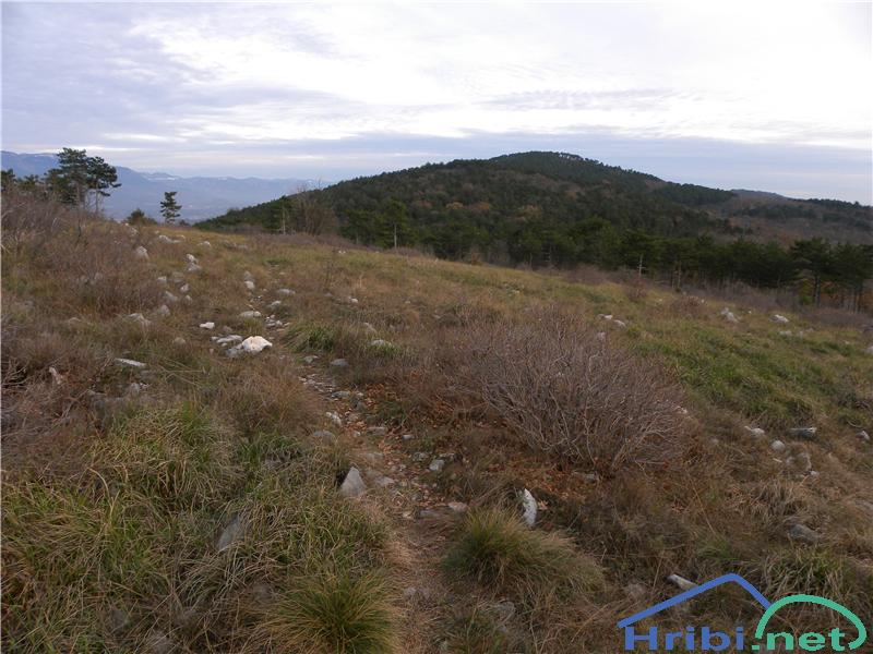 Lokvica - Stol (Črni hribi) - Slika - 64995