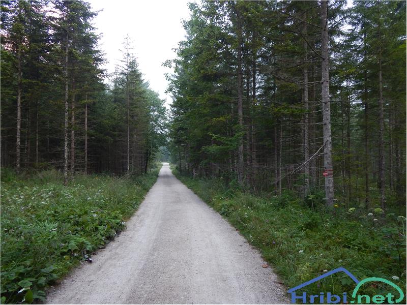 Hinterstoder - Großer Priel - Slika - 251422