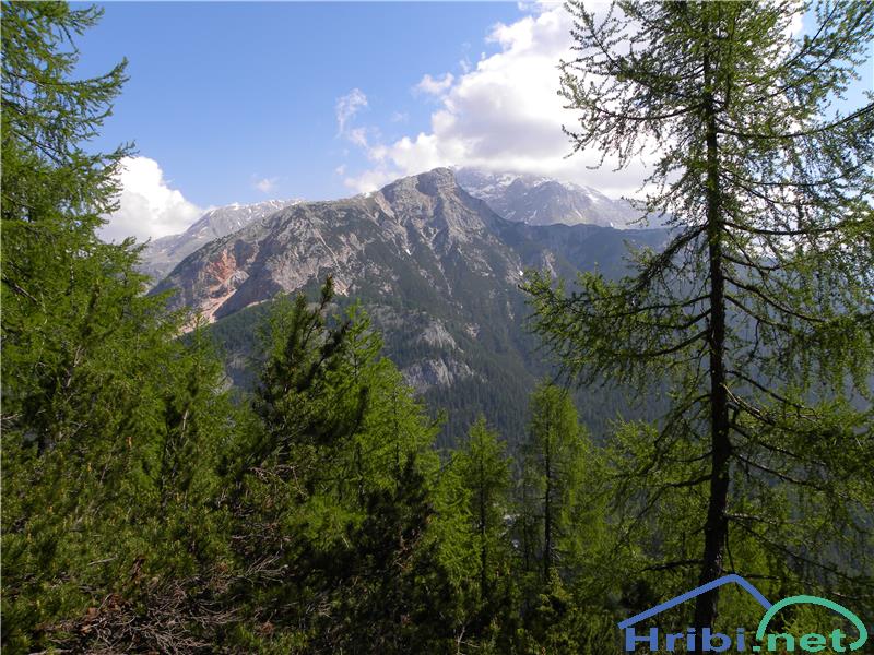 Fiames - Col Rosa - Slika - 242561