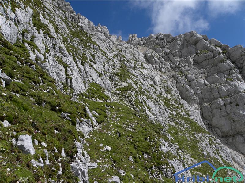 Pecol - Vrh Brda / Cima Verde - Slika - 51665