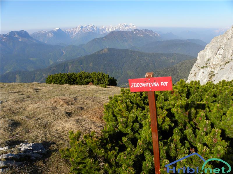 Koča na Pikovem - Kordeževa glava (Peca) (čez preval Vrh šteng in po ...